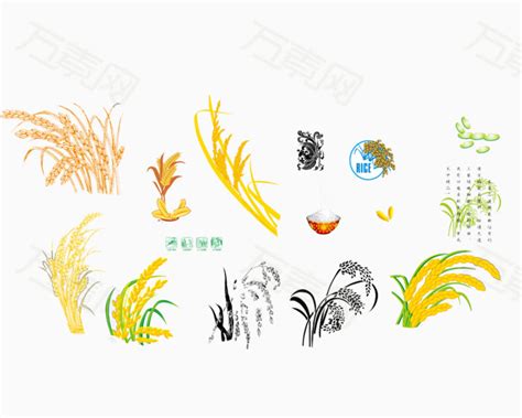 稻谷图片卡通画 稻谷卡通图片 卡通画图片大全 大山谷图库