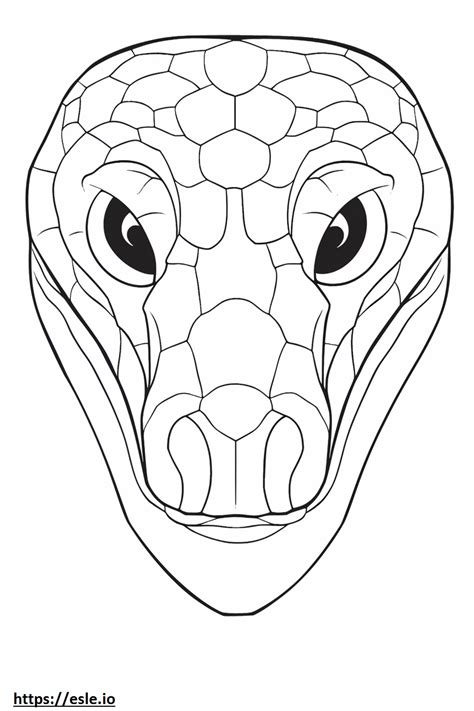 Viper Face Coloring Page