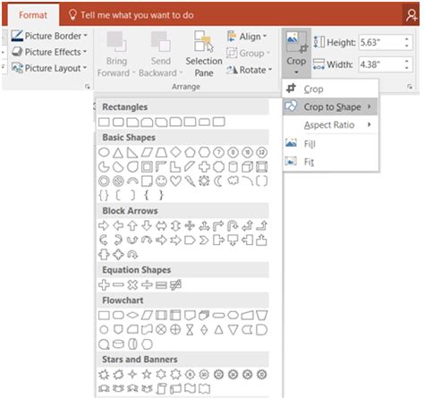 Cropping PowerPoint Shape And Aspect Ration SmileTemplates Com
