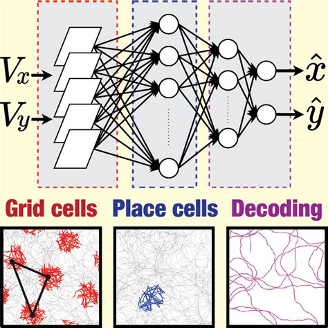 Cellular Neurophysiology Laboratory Mbu Iisc