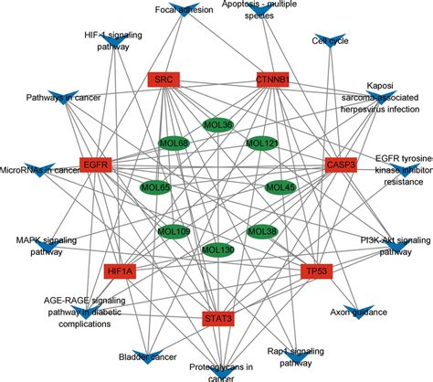 Signals Targets Bioactive Molecules Network Green Nodes Are