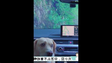 「vlog」带着狗狗深山探险，迷路遇到一处老宅，狗狗对着主人狂吠 001 Youtube