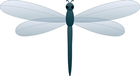 Blue Dragonfly Free Clip Art