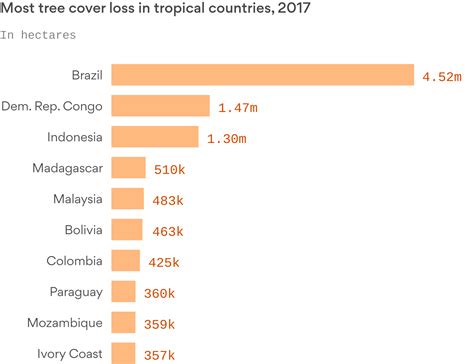 Earth Lost A Staggering Amount Of Trees In Furthr