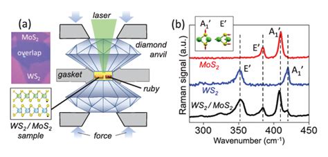 Vibrational Spectrum Renormalization By Enforced Coupling Across The