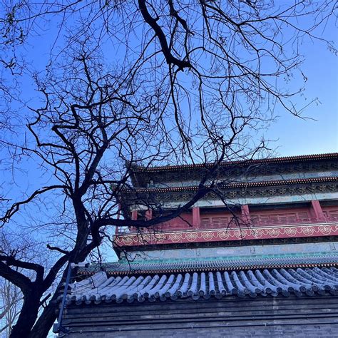 入春后才发现：满大街都在穿“针织衫烟管裙”，洋气显瘦又减龄组合比例线条
