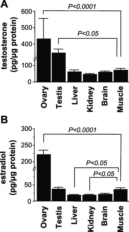 Tissue Levels Of Sex Steroid Hormones In Various Tissues Of Rat Tissue