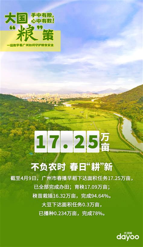 大国粮策丨手中有粮心中有数一组数字看广州如何守护粮食安全
