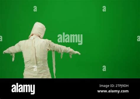 Green Screen Isolated Chroma Key Back View Video Capturing A Mummy