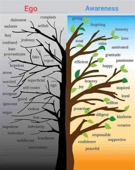 Makeda Naeem Posted On Linkedin