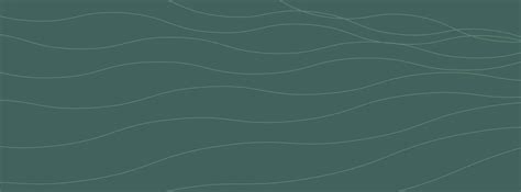 Zemismart Matter Over WiFi Smart Push Button US Switch 2 Gang Black ZM606 2 MESH