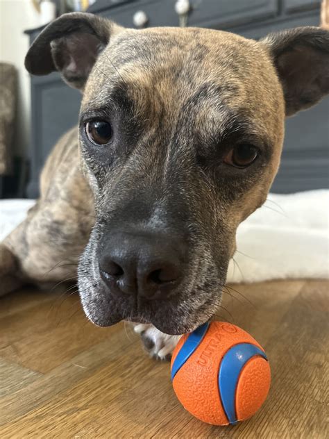 Many Of Us Do Not Fit Into The Box Of Status Quo Or The Expectations