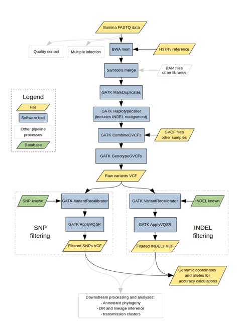 flow chart for xbs s variant calling core download scientific diagram