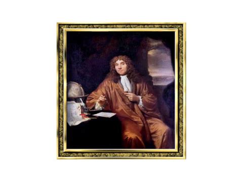 CLASSIFICATION OF BACTERIA ITS STRUCTURE PPT