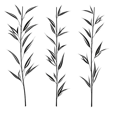 Folha De Bambu Desenhada à Mão Cores Pretas Em Fundo Branco Contorno