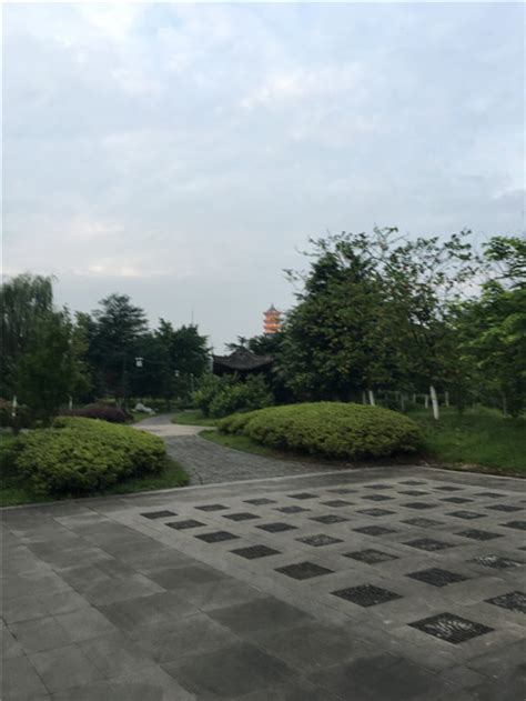 莲峰公园 隆昌论坛 麻辣社区