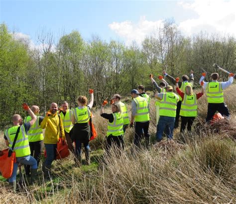 Forest As A Key Role Sasse Group
