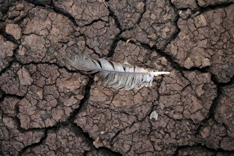 Círculo Vicioso Sequías Repentinas Y Calentamiento Global