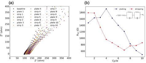 In Situ Eis Of Calcium Electrodes During Galvanostatic Cycling A