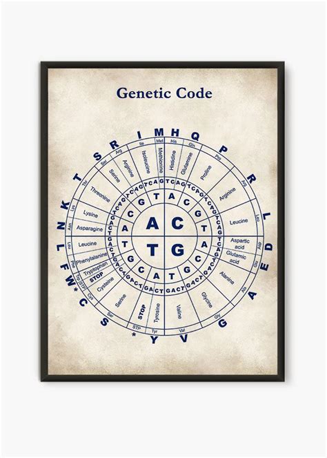 Genetic Code Science Poster T For Scientist Medical Art Biology