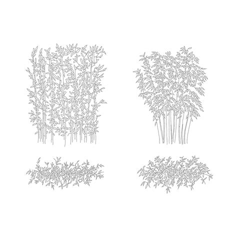 Bamboo Dwg Cad Blocks In Plan And Elevation 20 Pieces Cadnature