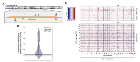 The Synthetic Yeast Genome Project Has Achieved Significant