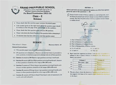 Solution Class 10 Science Pre Board Paper Studypool
