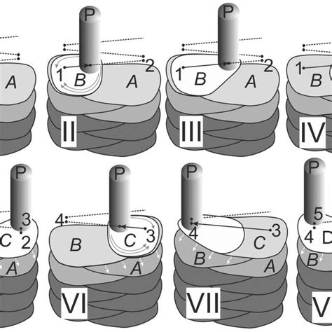 Fusibility Curves Of The Glazes P Sintering And Softening