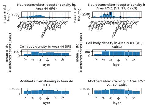 comparative analysis of brain organisation in two brain regions