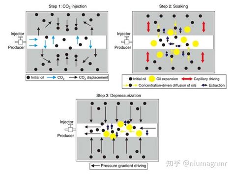 裂缝型致密砂岩co2驱油机理探究——nmr在线表征 知乎