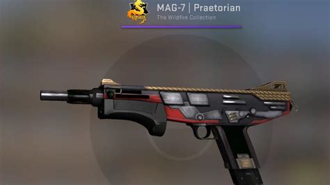 Best Mag 7 Skins In Csgo Playing History