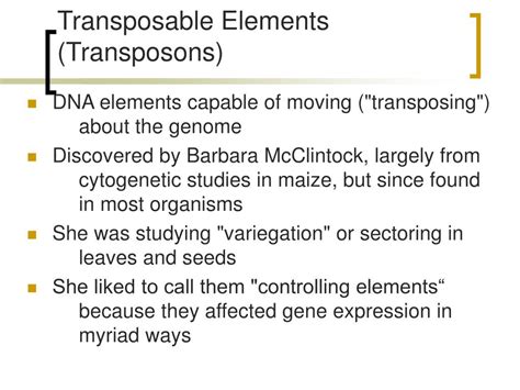 Ppt Transposable Elements Powerpoint Presentation Free Download Id