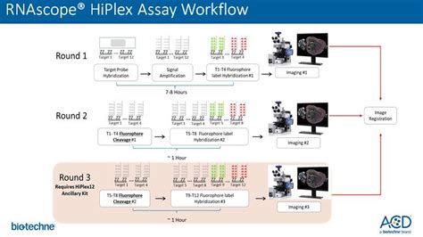 Abby Munoz On Linkedin Looking To Validate Your Scrnaseq Tsne Plot Data Come Check Out The