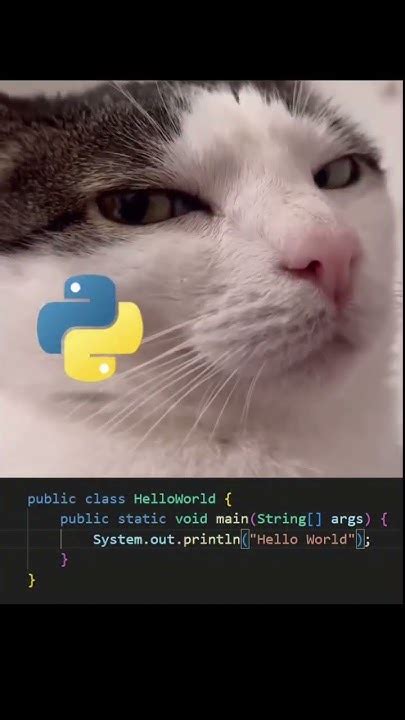 Python Dev That Print Statement Stinksshortsfeed Programming