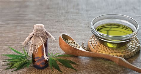 Cannabis Oil In South Africa Buddies For Life Magazine