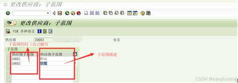 六、sap 信息记录sap Mm(采购与仓储)模块实施 Csdn专栏 六、sap 信息记录sap Mm(采购与仓储)模块实施 Csdn专栏