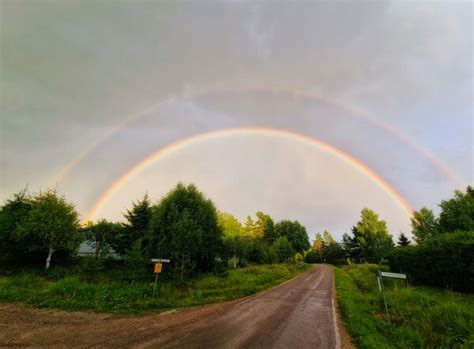 Blog Rainbow Forza S Ramblings