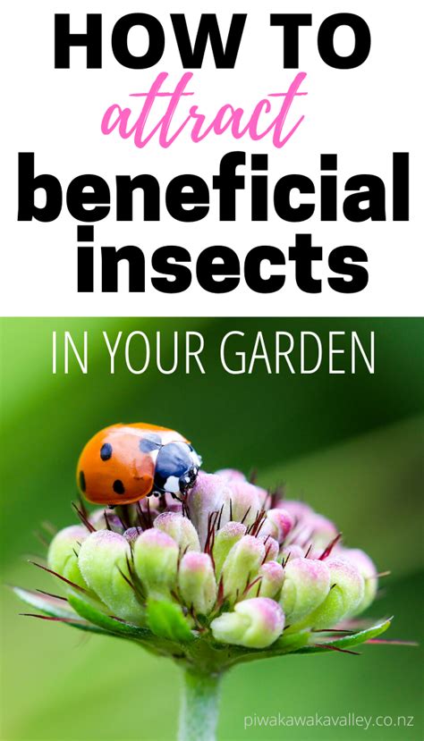 If You Want To Improve The Natural Resilience Of Your Permaculture