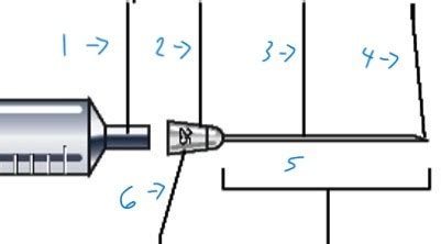 Ch 37 Administering Intradermal Subcutaneous And Intramuscular