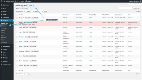 HTML5 Ads The AdSanity Plugin