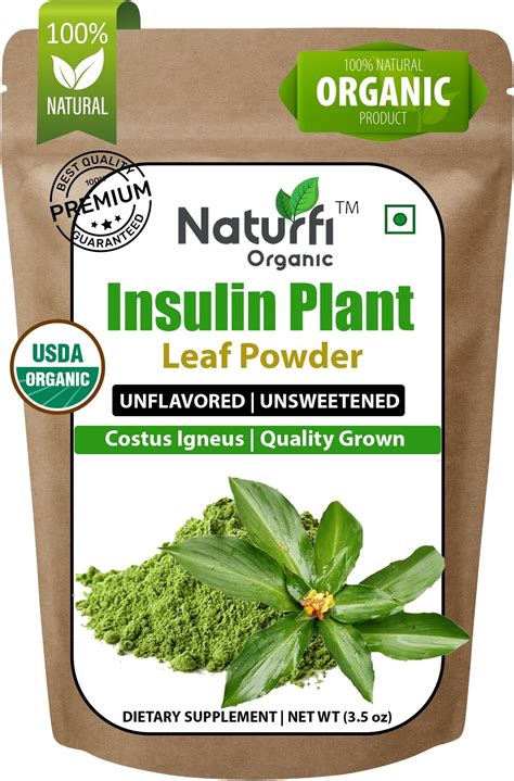 Jaggy Insulin Plant Leaf Powder Costus Igneus 200g71 Oz