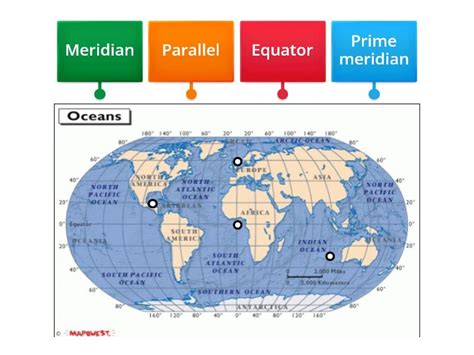 Labelled Diagram Diagrama Con Etiquetas
