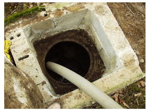 How To Replace Your Septic Distribution Box Alley Kat Music Center