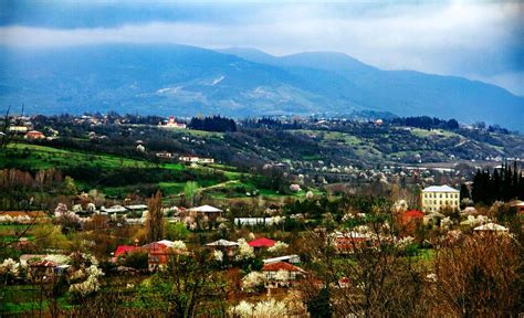 ზესტაფონის მუნიციპალიტეტის მერია ️ ზესტაფონის ვიცე მერმა დავით მაღრაძემ და მაჟორიტარმა
