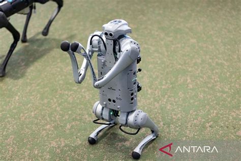 Peneliti Mit Csail Kembangkan Sistem Perencanaan Tugas Robot Rumah