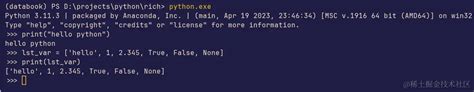 Python Rich：美化终端显示效果 Csdn博客