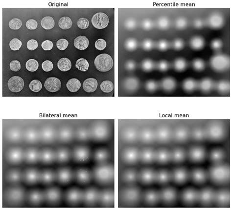 16 Mean Filters — Hands On Introduction To Scikit Image Methods