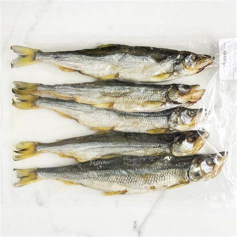 Семга потрошеная 5 6кг свежемороженая Рыба с доставкой по Москве и области