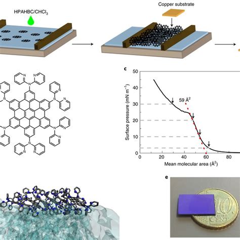 Pore Density And Transmembrane Ionic Current Measurements A The