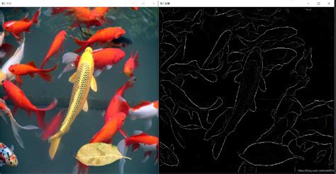 图像处理——edge Boxes边缘检测edgeboxes算法 Csdn博客